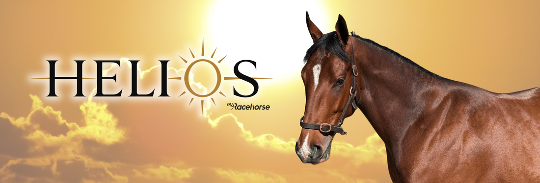 Helios – Page 3 – MyRacehorse Shop