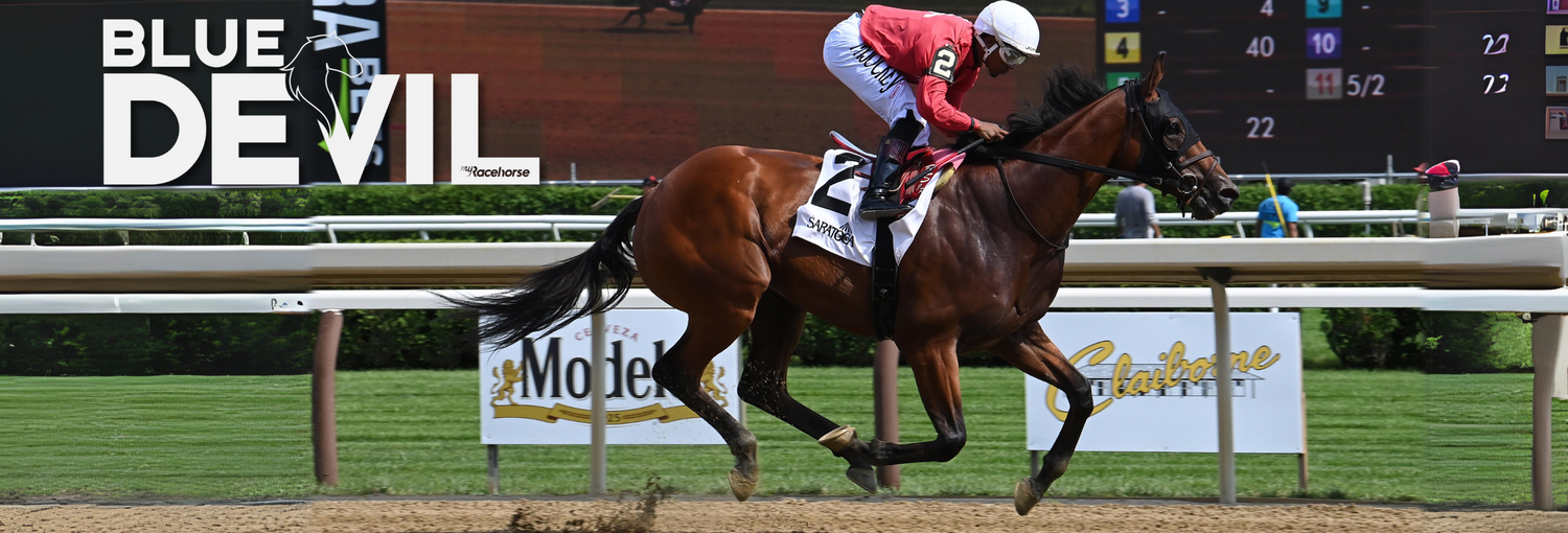 Blue Devil 2 – MyRacehorse Shop