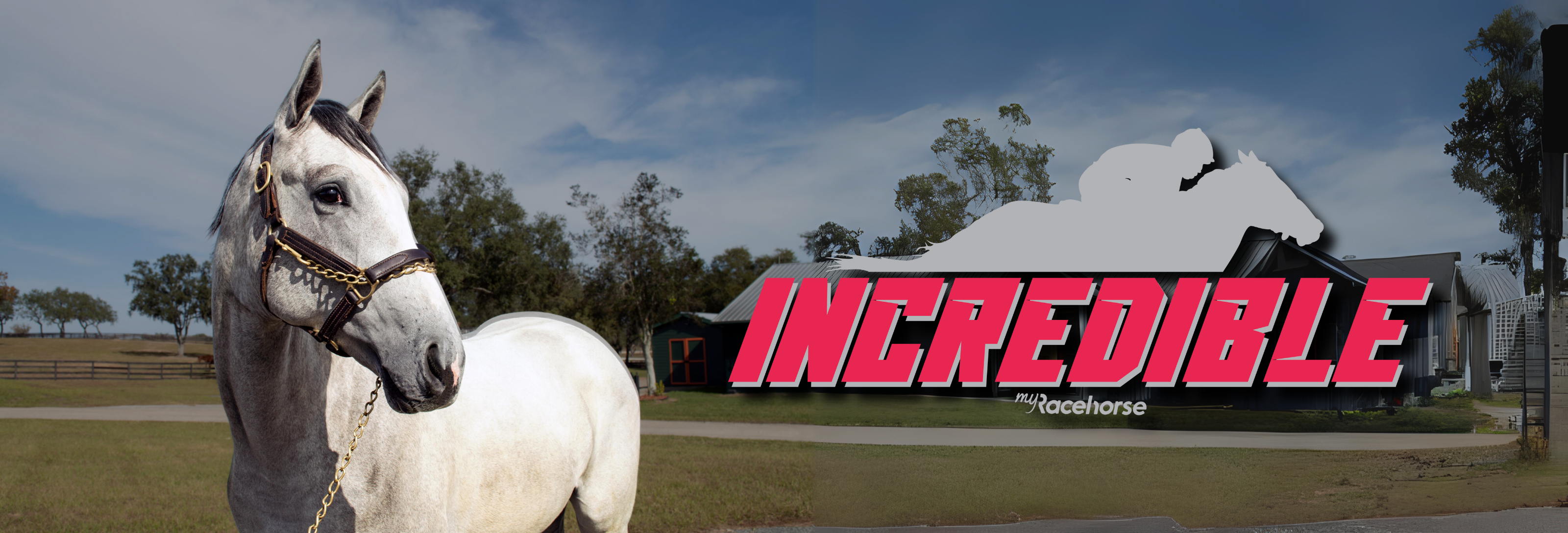 Incredible – Page 2 – MyRacehorse Shop