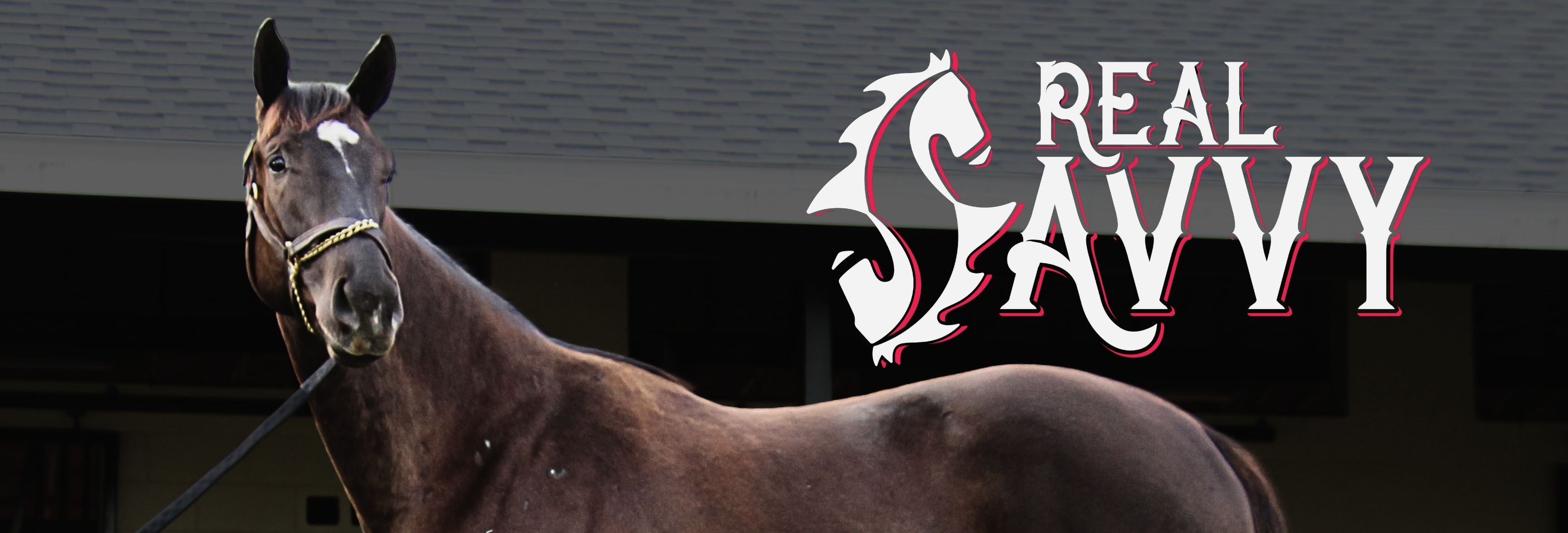 Real Savvy – MyRacehorse Shop