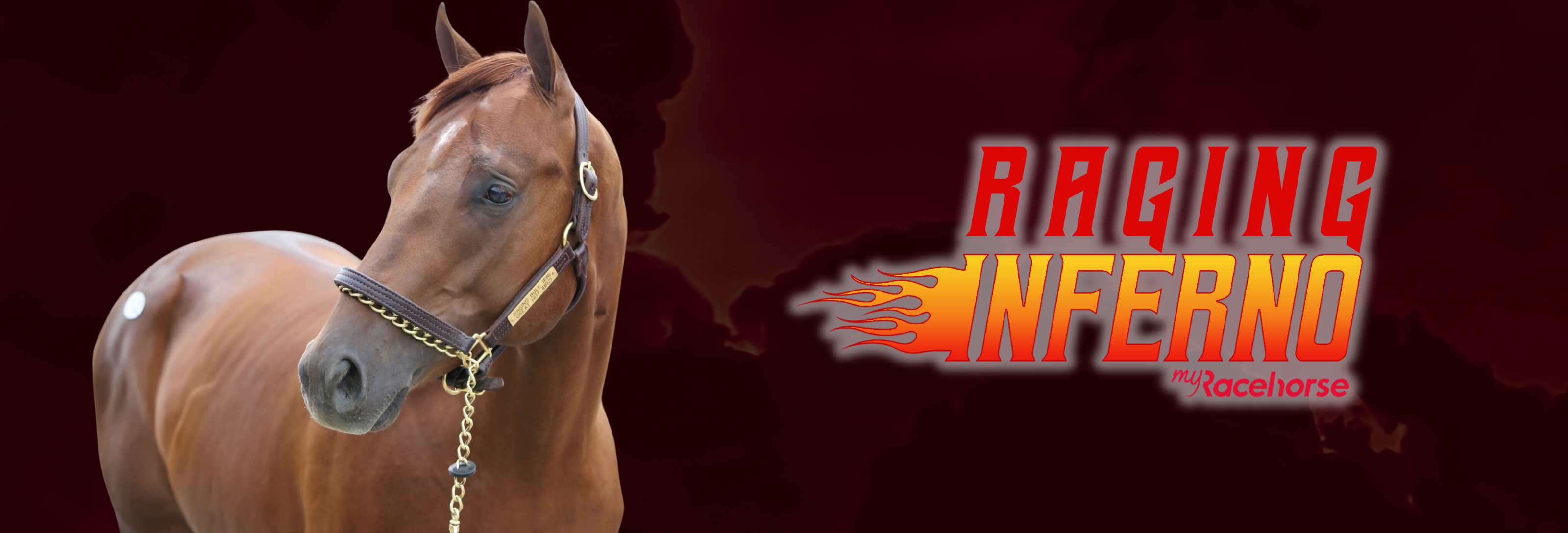Raging Inferno – MyRacehorse Shop
