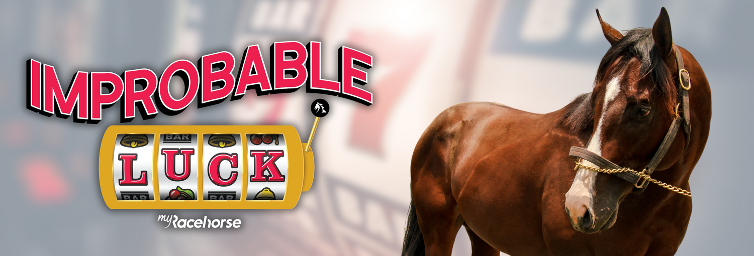 Improbable Luck – MyRacehorse Shop