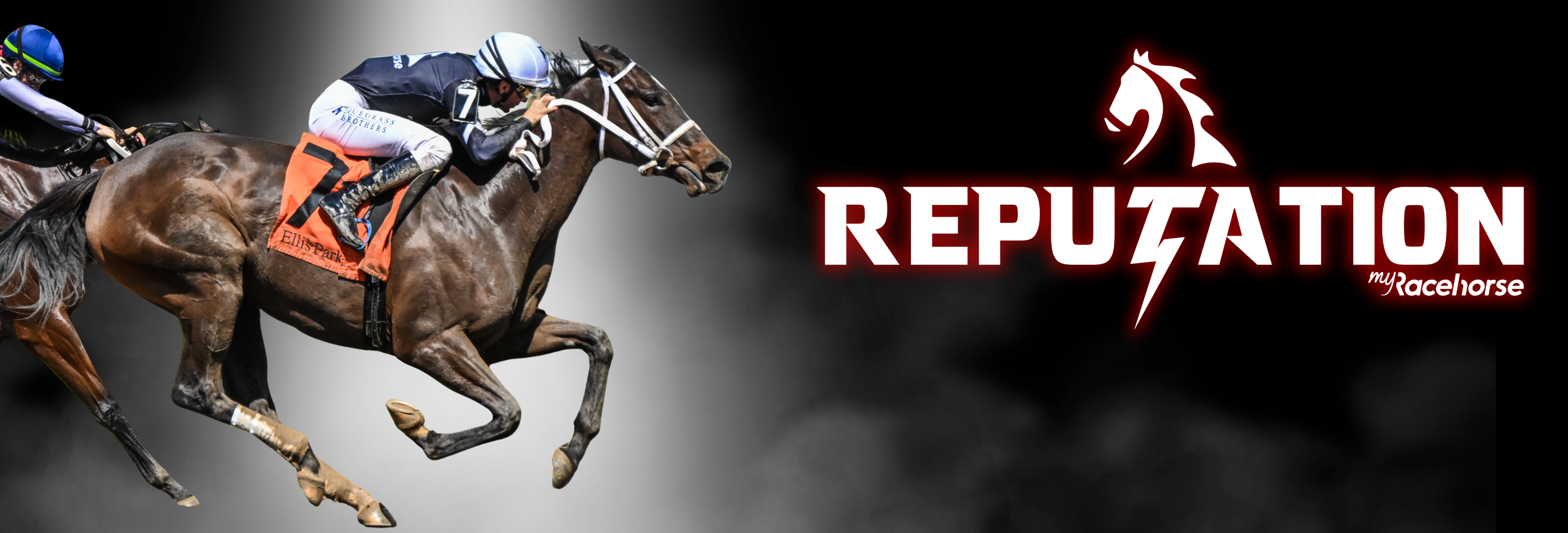 Reputation – MyRacehorse Shop