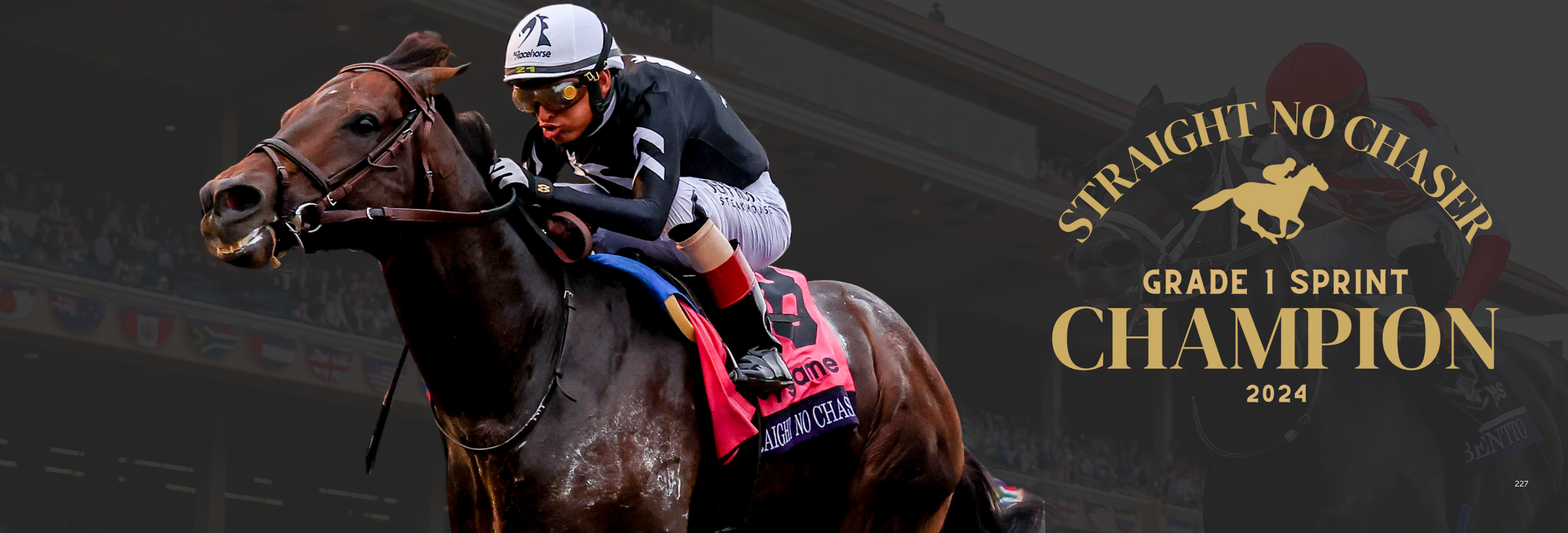 Straight no Chaser Grade 1 Sprint Champion – MyRacehorse Shop