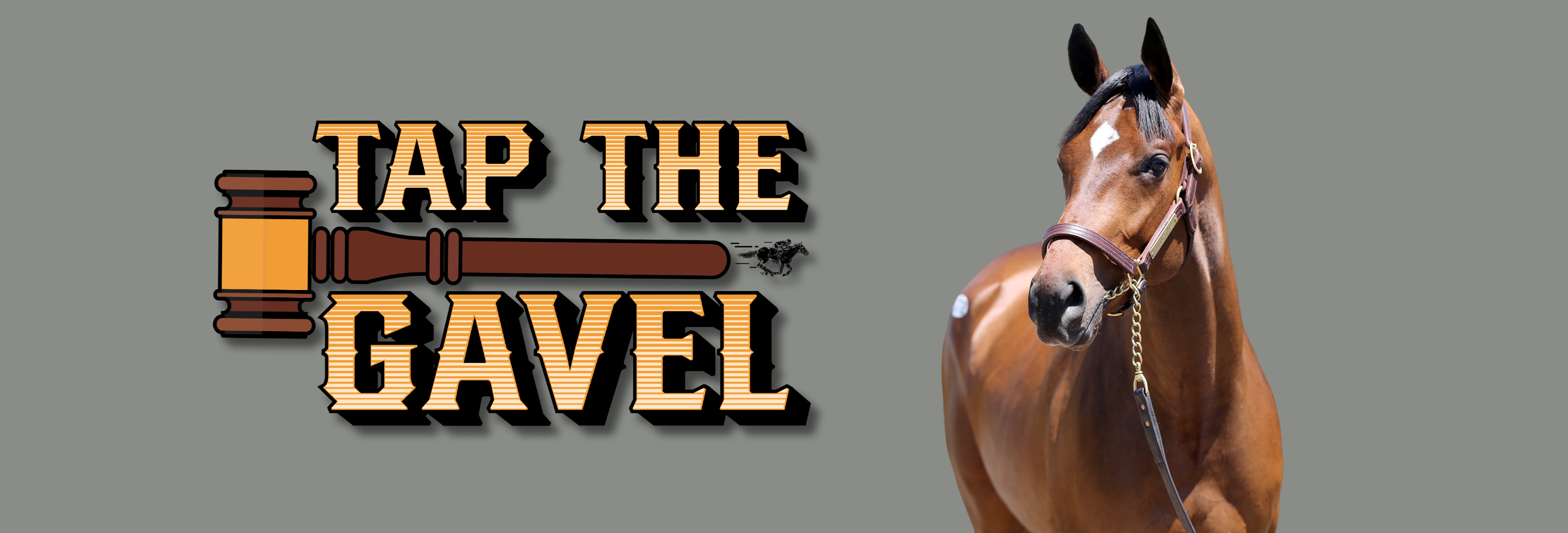 Tap the Gavel – MyRacehorse Shop
