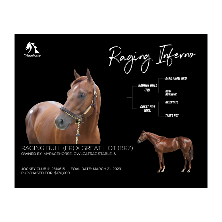 Raging Inferno Owner Photo – MyRacehorse Shop