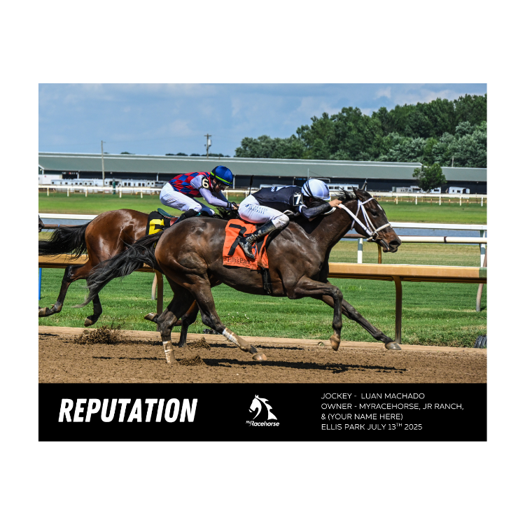 Reputation Custom Win Photo - Action – MyRacehorse Shop