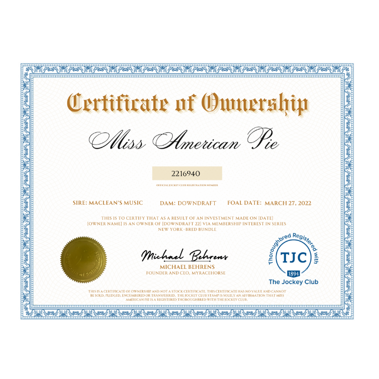 Miss American Pie Certificate of Ownership – MyRacehorse Shop