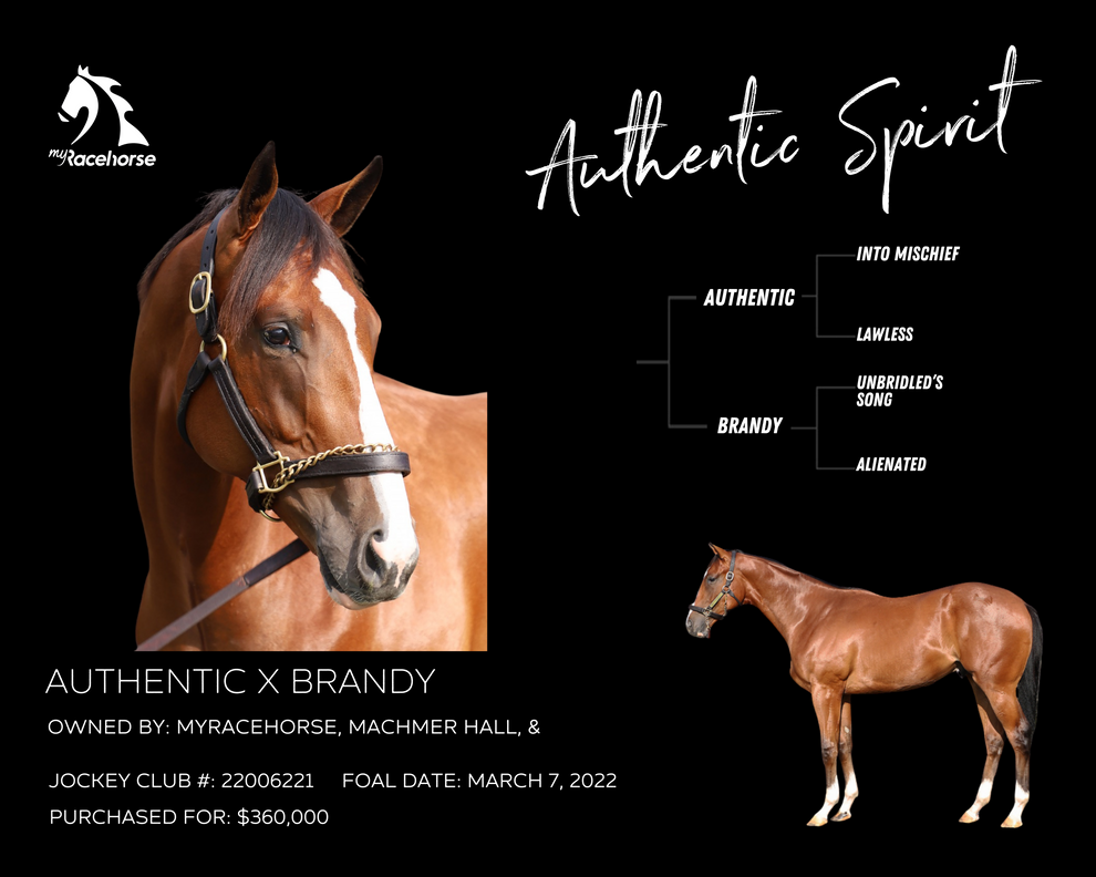 Authentic Spirit Owner Photo – MyRacehorse Shop