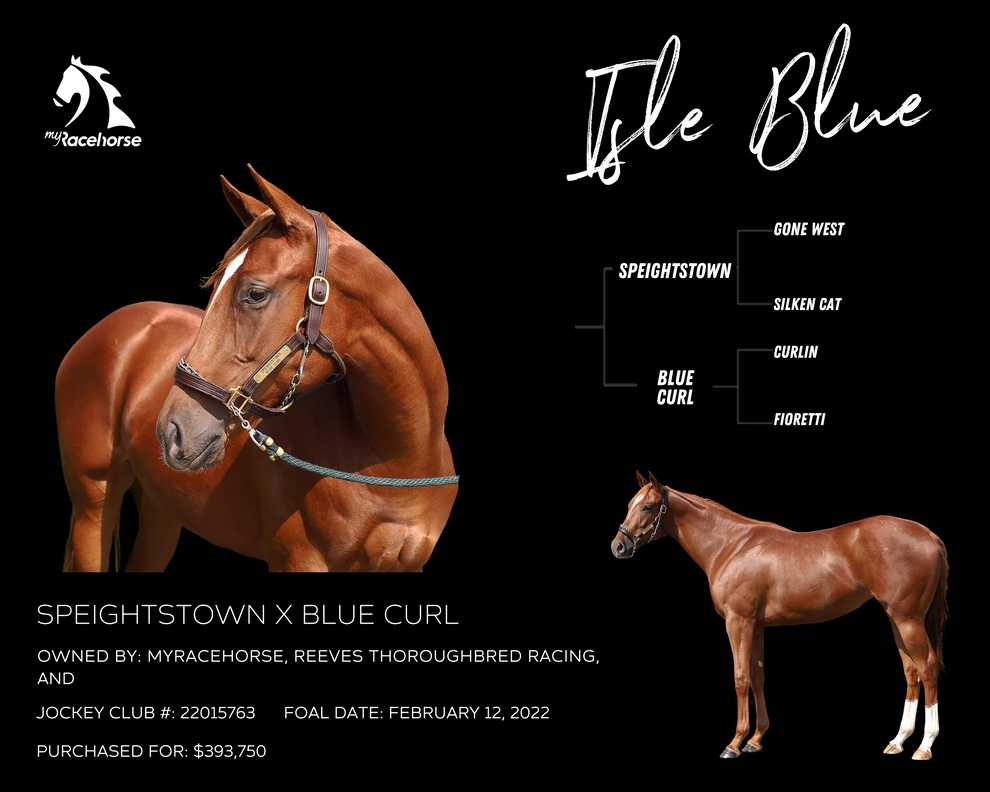 Isle Blue Owner Photo – MyRacehorse Shop