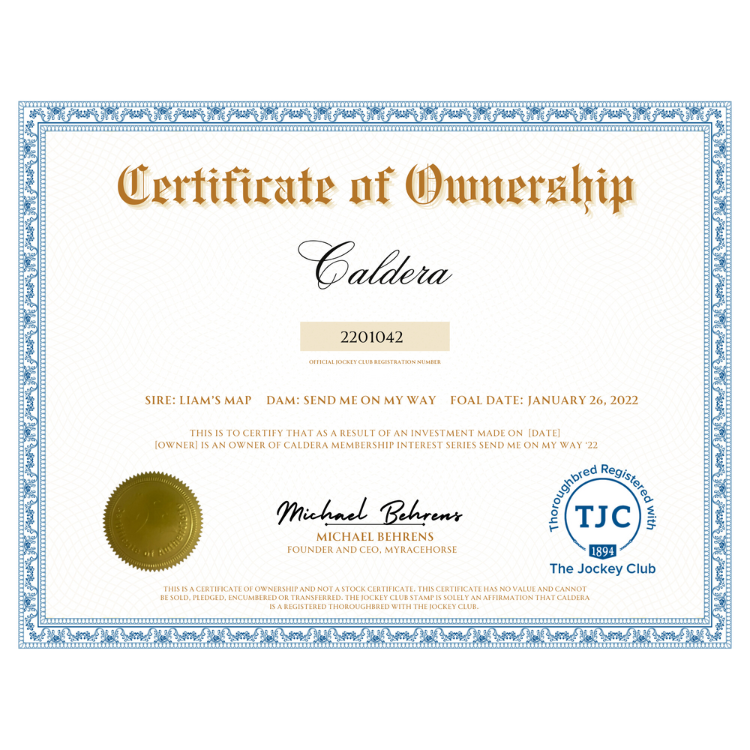 Caldera Certificate of Ownership – MyRacehorse Shop