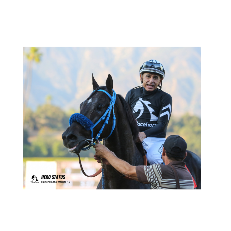 Hero Status - Candid Photo – MyRacehorse Shop