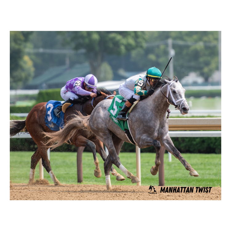 Manhattan Twist Action Photo Debut Race – MyRacehorse Shop