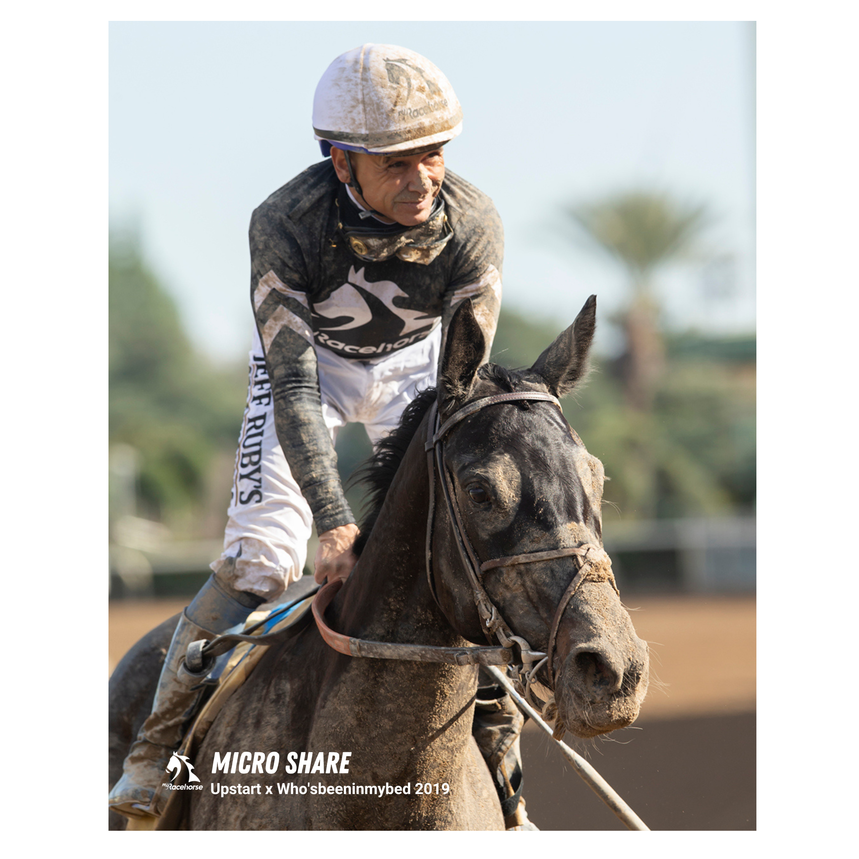 Micro Share Candid Photo – MyRacehorse Shop