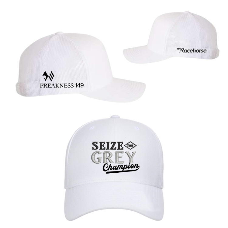 Seize the Grey Official Preakness Velocity Performance Hat ...