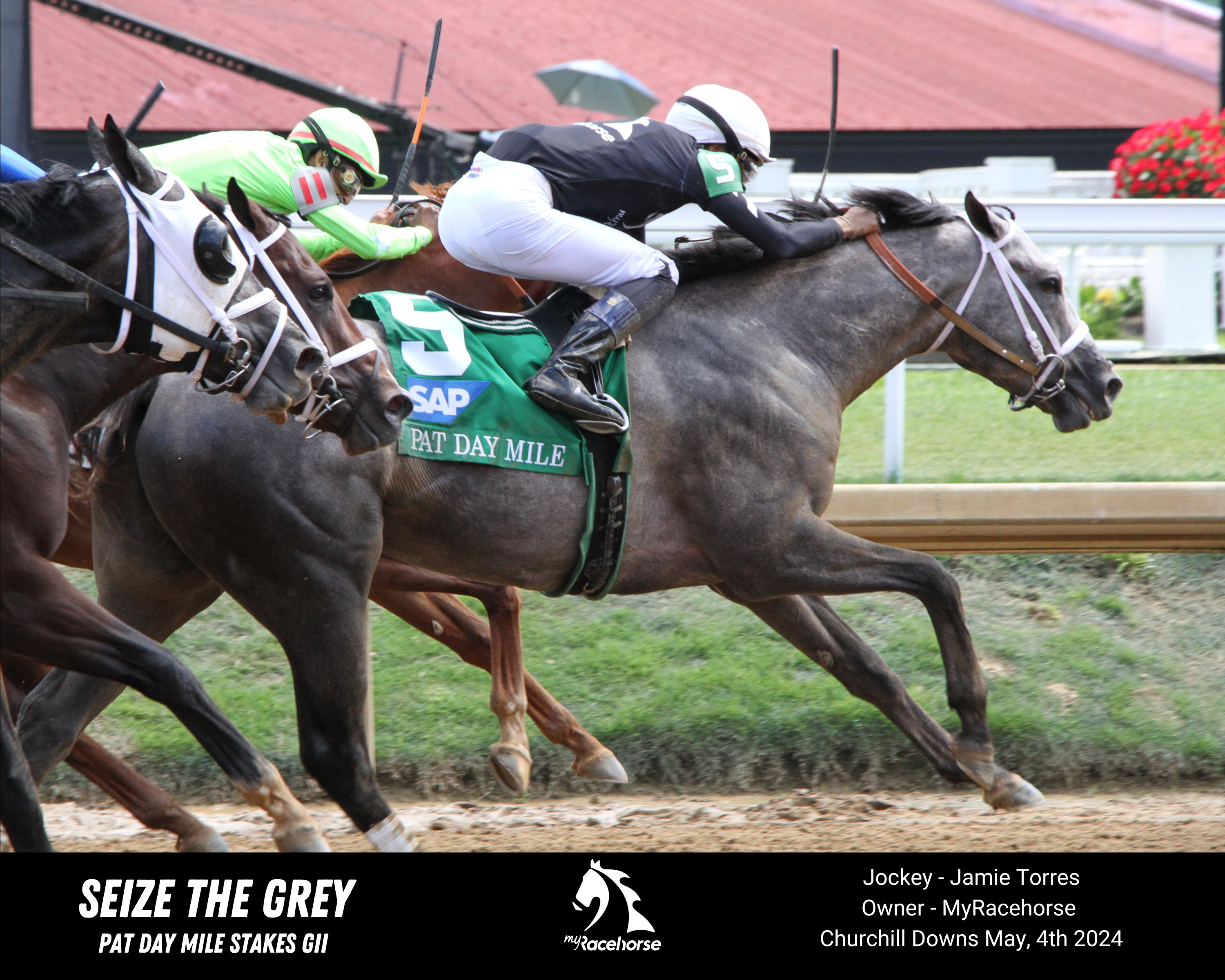Seize the Grey Pat Day Mile Photo – MyRacehorse Shop