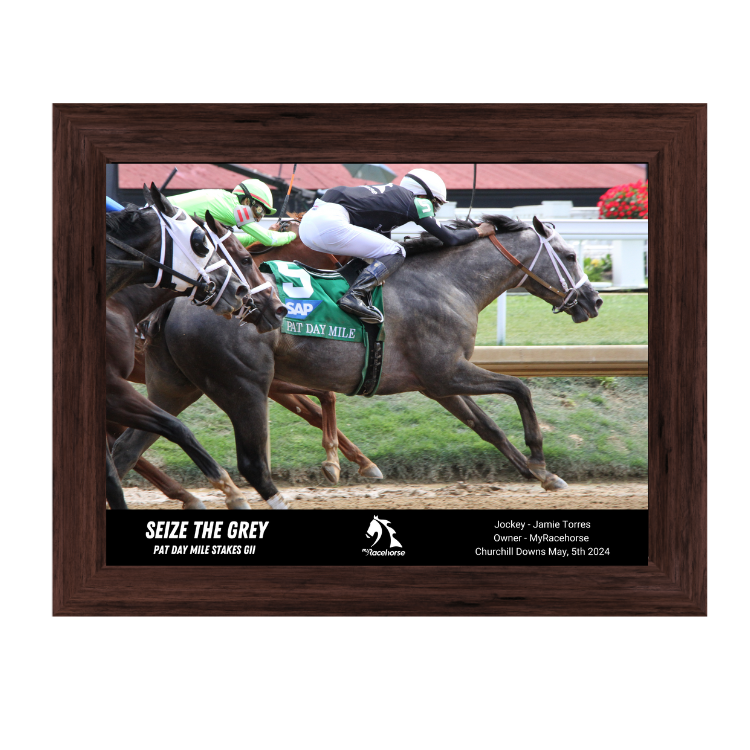 Seize the Grey Photos – MyRacehorse Shop