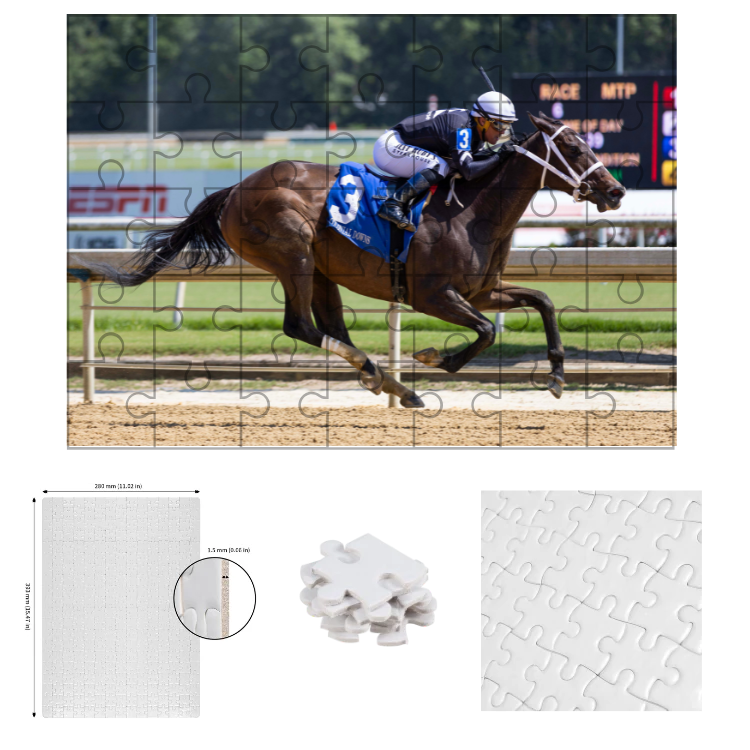 Reputation 300 - Piece Custom Puzzle – MyRacehorse Shop