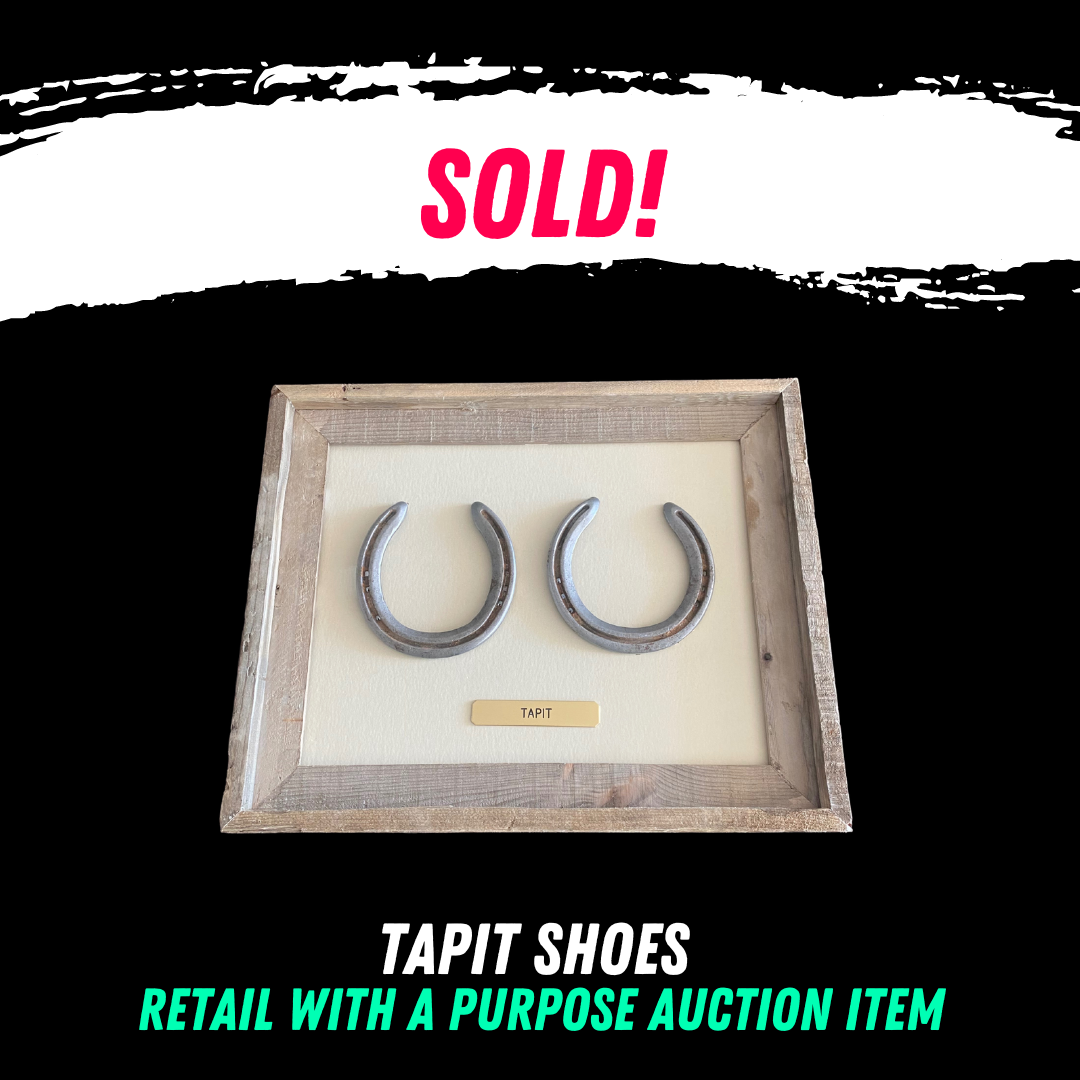 Framed Horseshoes from Legendary Stallion Tapit – MyRacehorse Shop