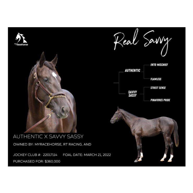 Real Savvy Owner Photo – MyRacehorse Shop