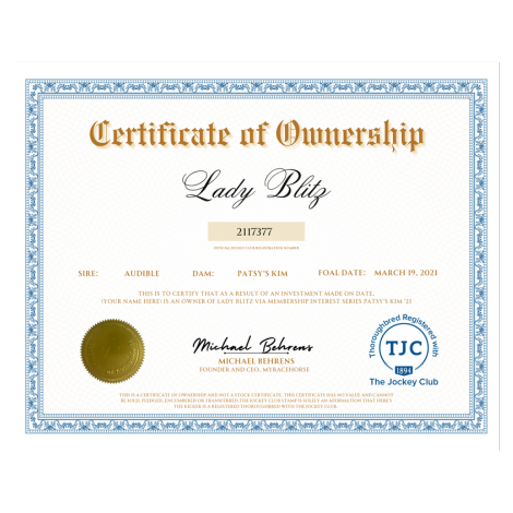 Lady Blitz Certificate of Ownership – MyRacehorse Shop