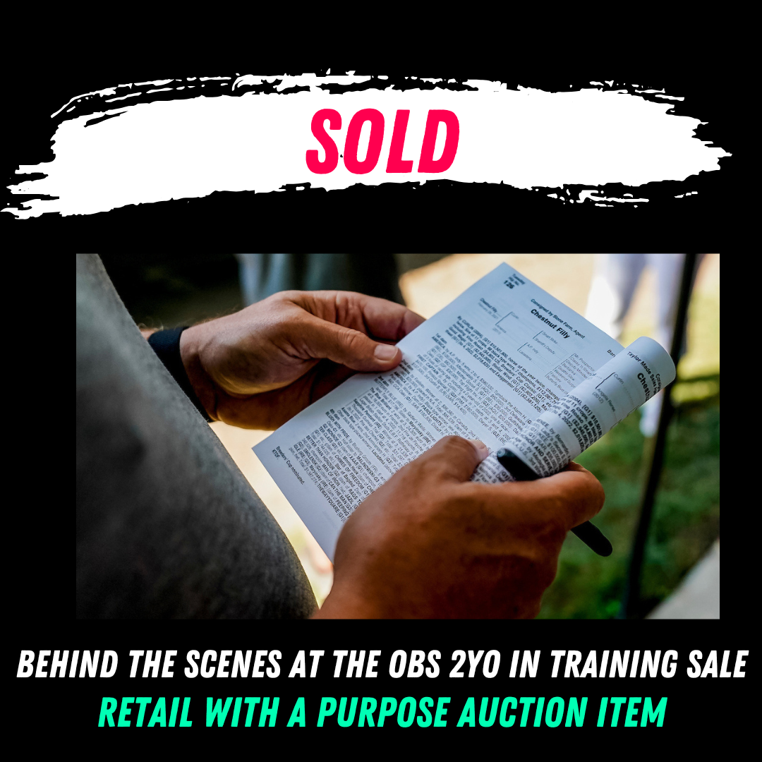 Behind the Scenes at the 2025 OBS 2-Year-Olds in Training Sale ...