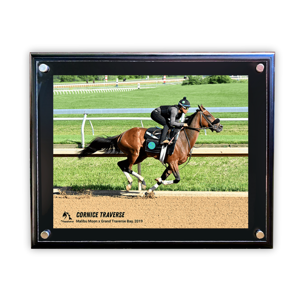 Cornice Traverse Photo - Action Shot – MyRacehorse Shop