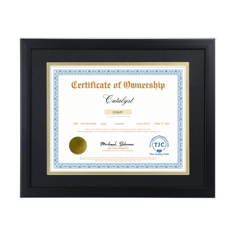 Catalyst Certificate of Ownership – MyRacehorse Shop