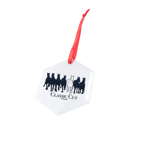 Classic Cut Hexagonal Glass Ornament – MyRacehorse Shop