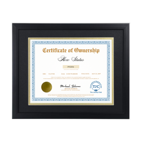 Hero Status Certificate of Ownership – MyRacehorse Shop