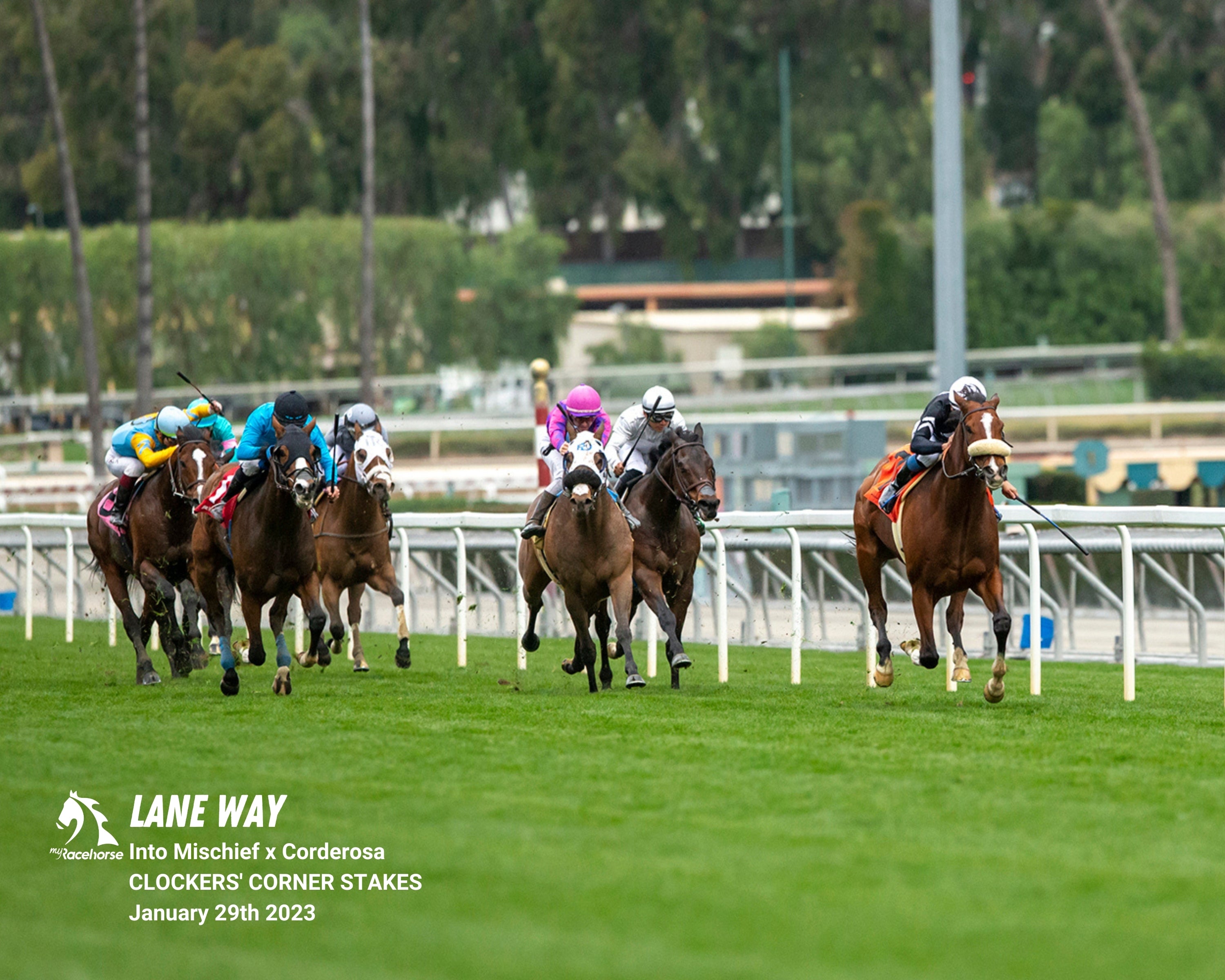 Lane Way Clocker's Corner Stakes Down The Stretch Photo – MyRacehorse Shop