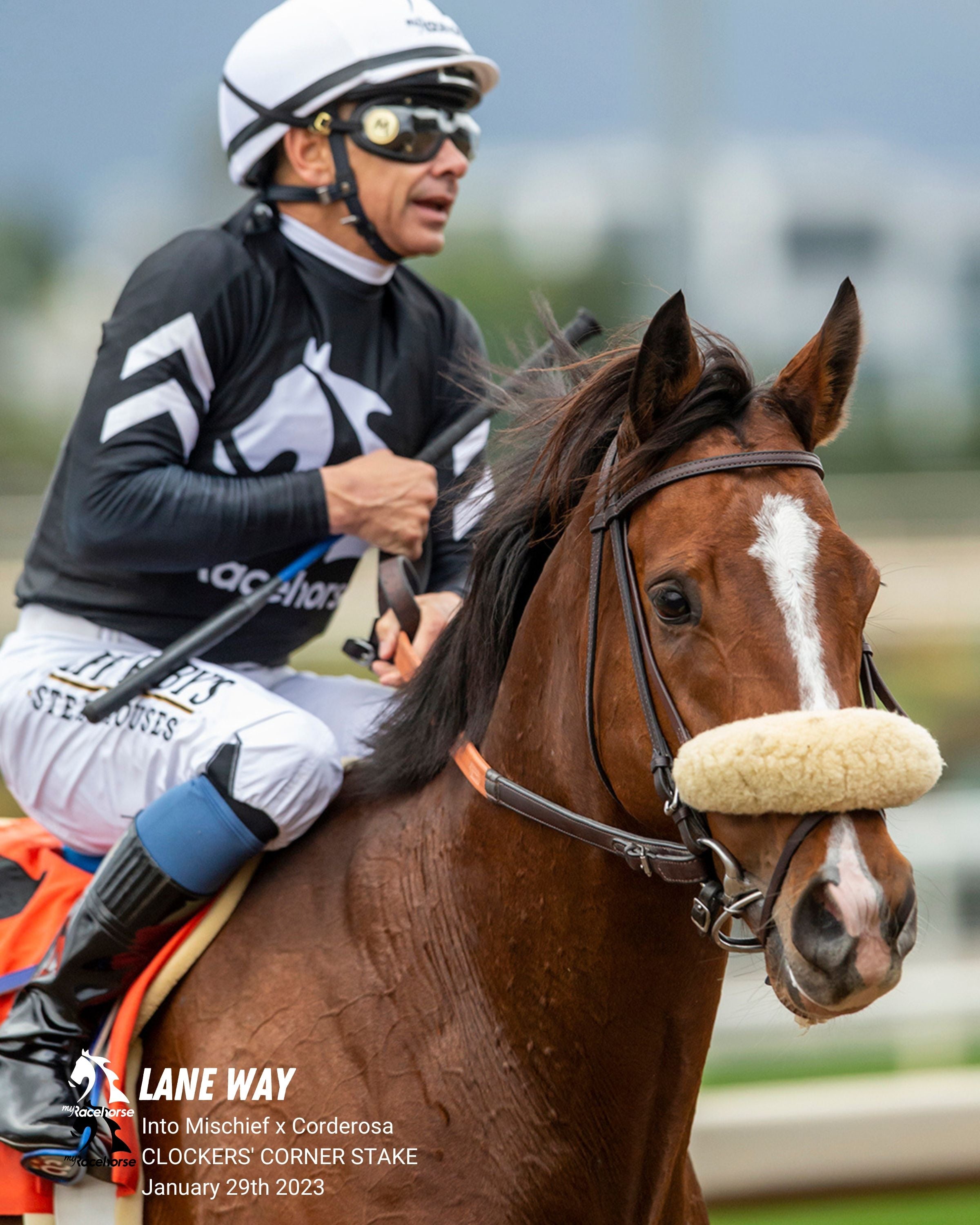 Lane Way Clocker's Corner Stakes Portrait Photo – MyRacehorse Shop