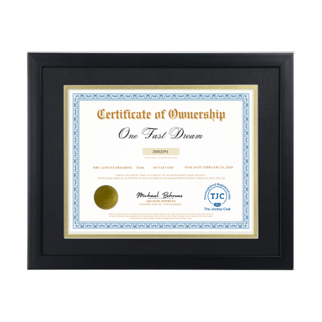 One Fast Dream Certificate of Ownership – MyRacehorse Shop