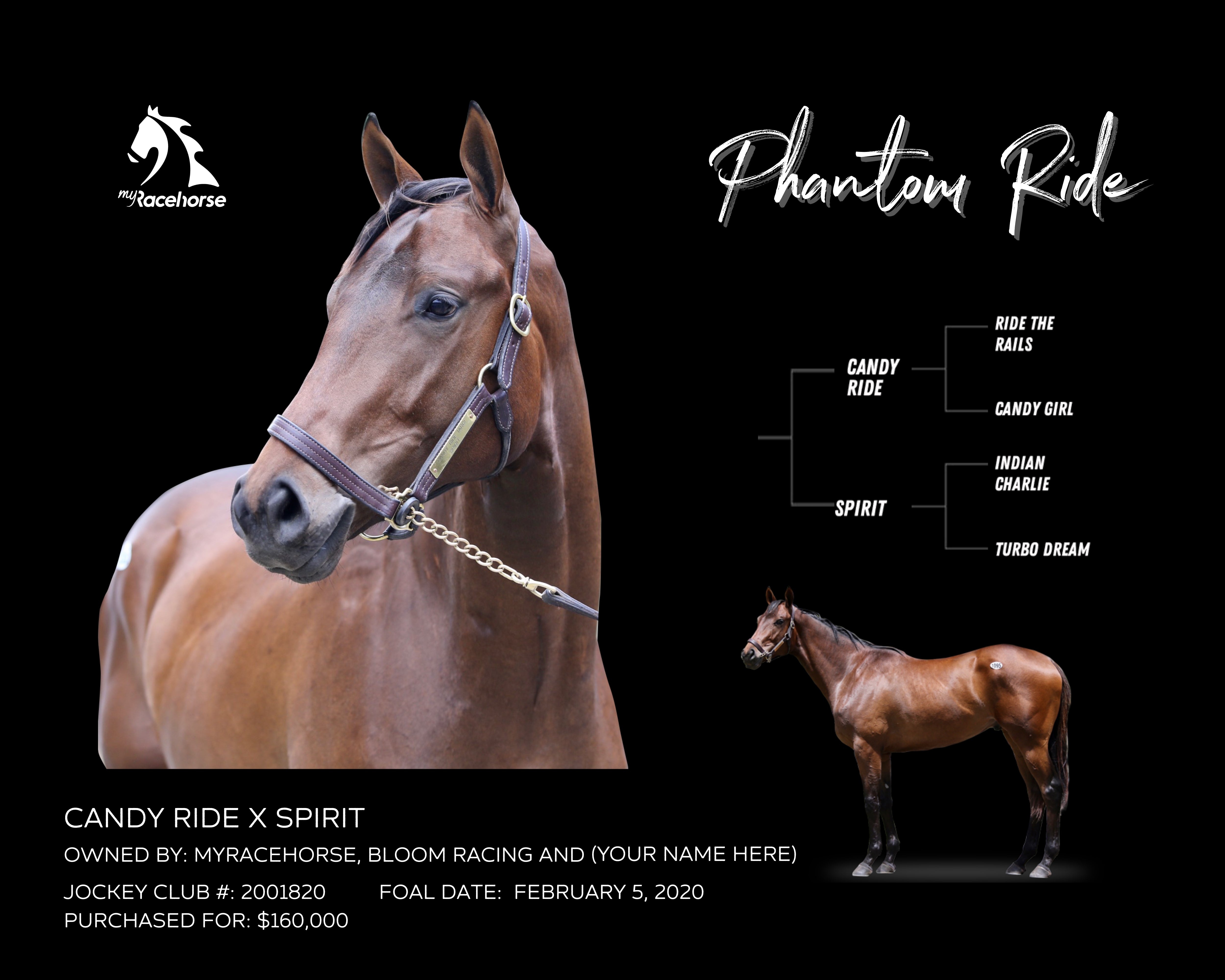 Phantom Ride Owner Photo – MyRacehorse Shop