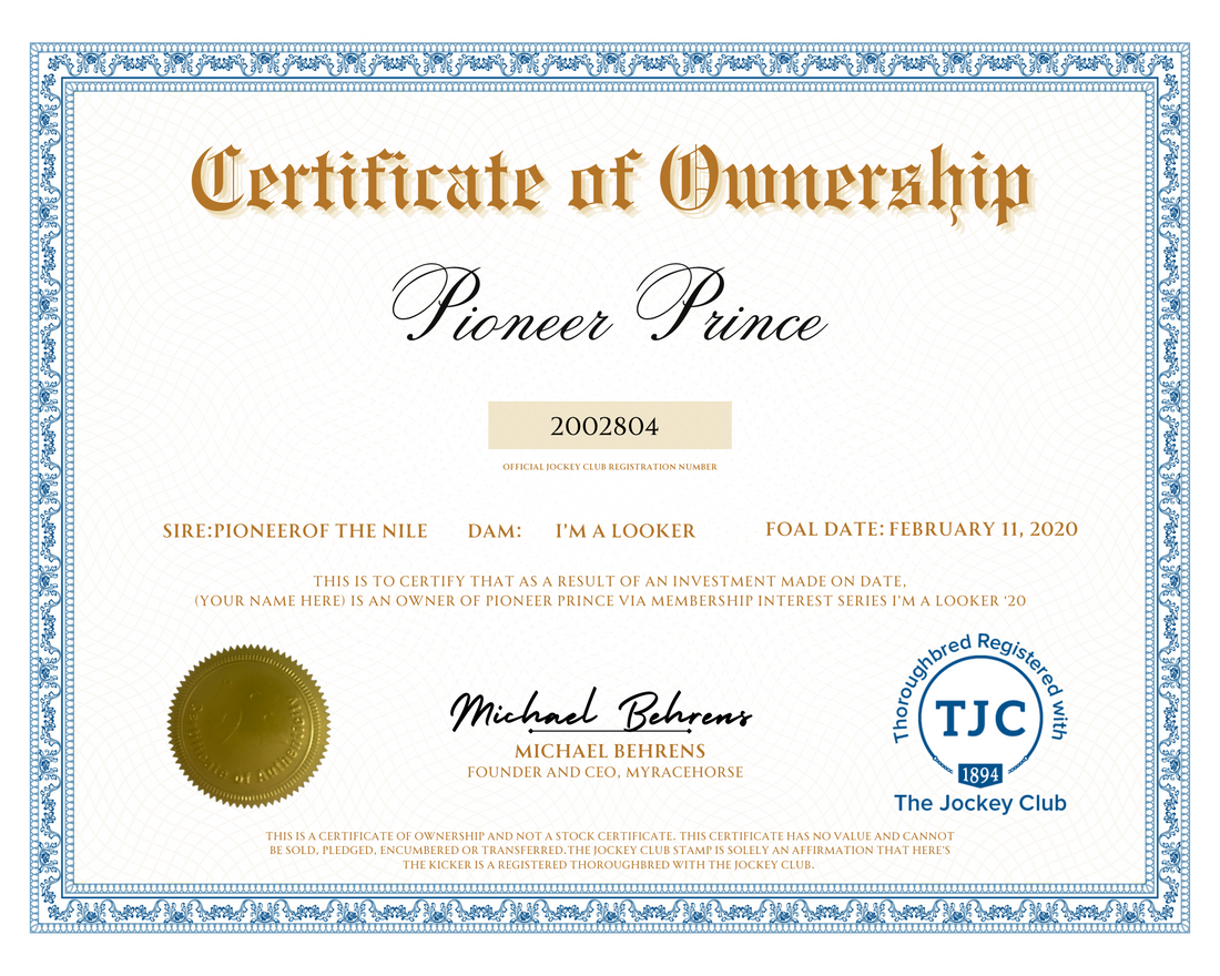 Pioneer Prince Certificate of Ownership – MyRacehorse Shop