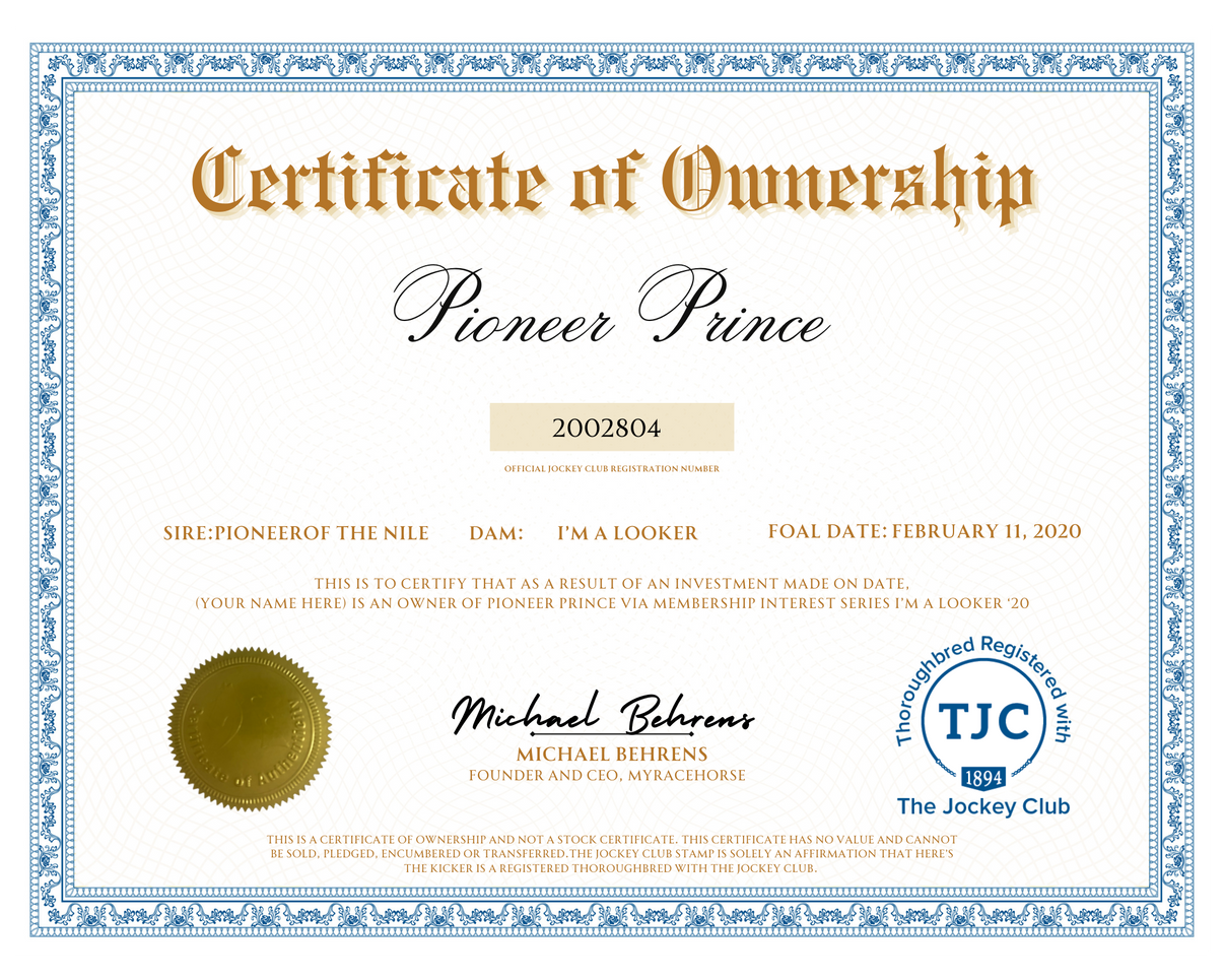 Pioneer Prince Certificate of Ownership – MyRacehorse Shop