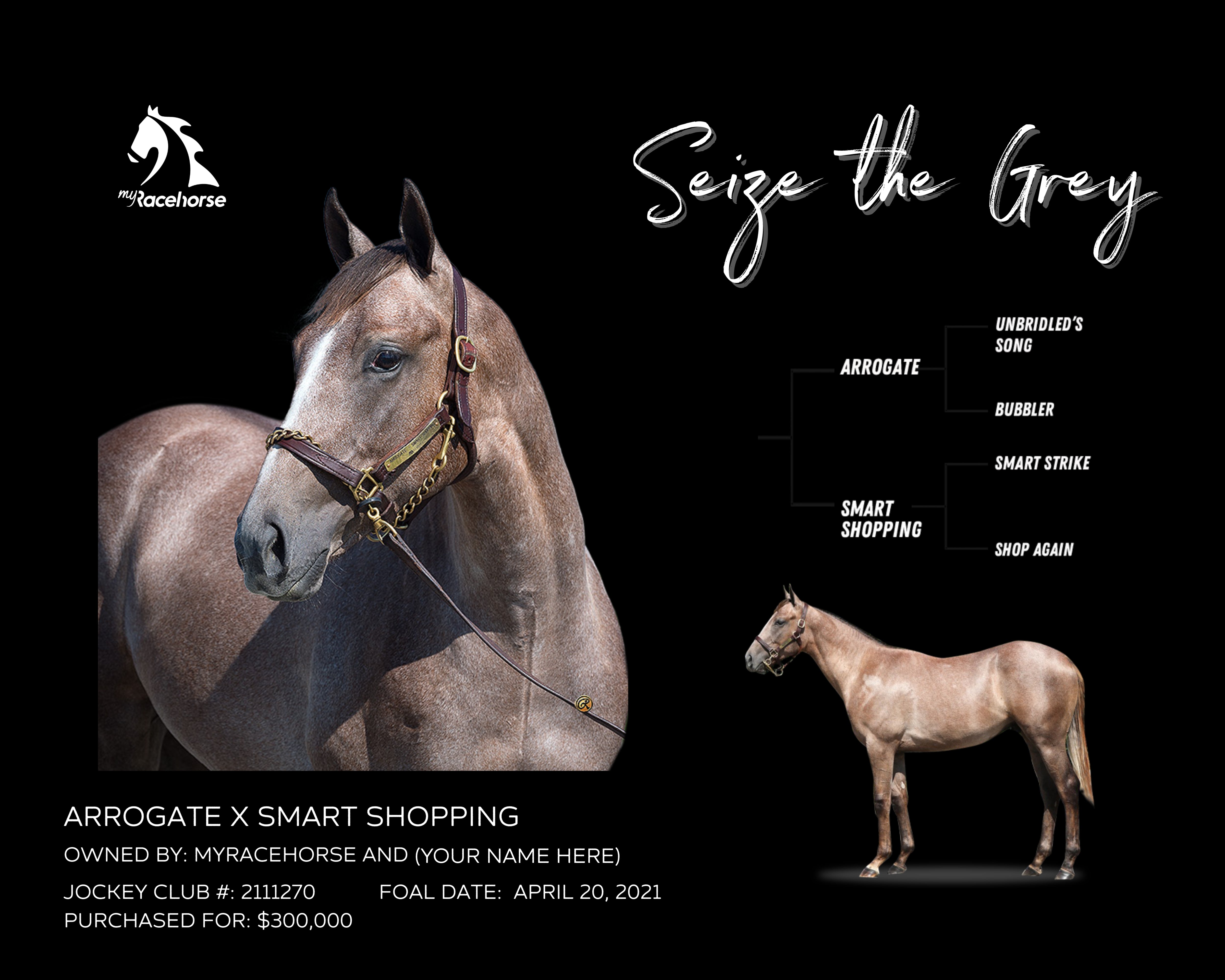 Seize the Grey Owner Photo – MyRacehorse Shop