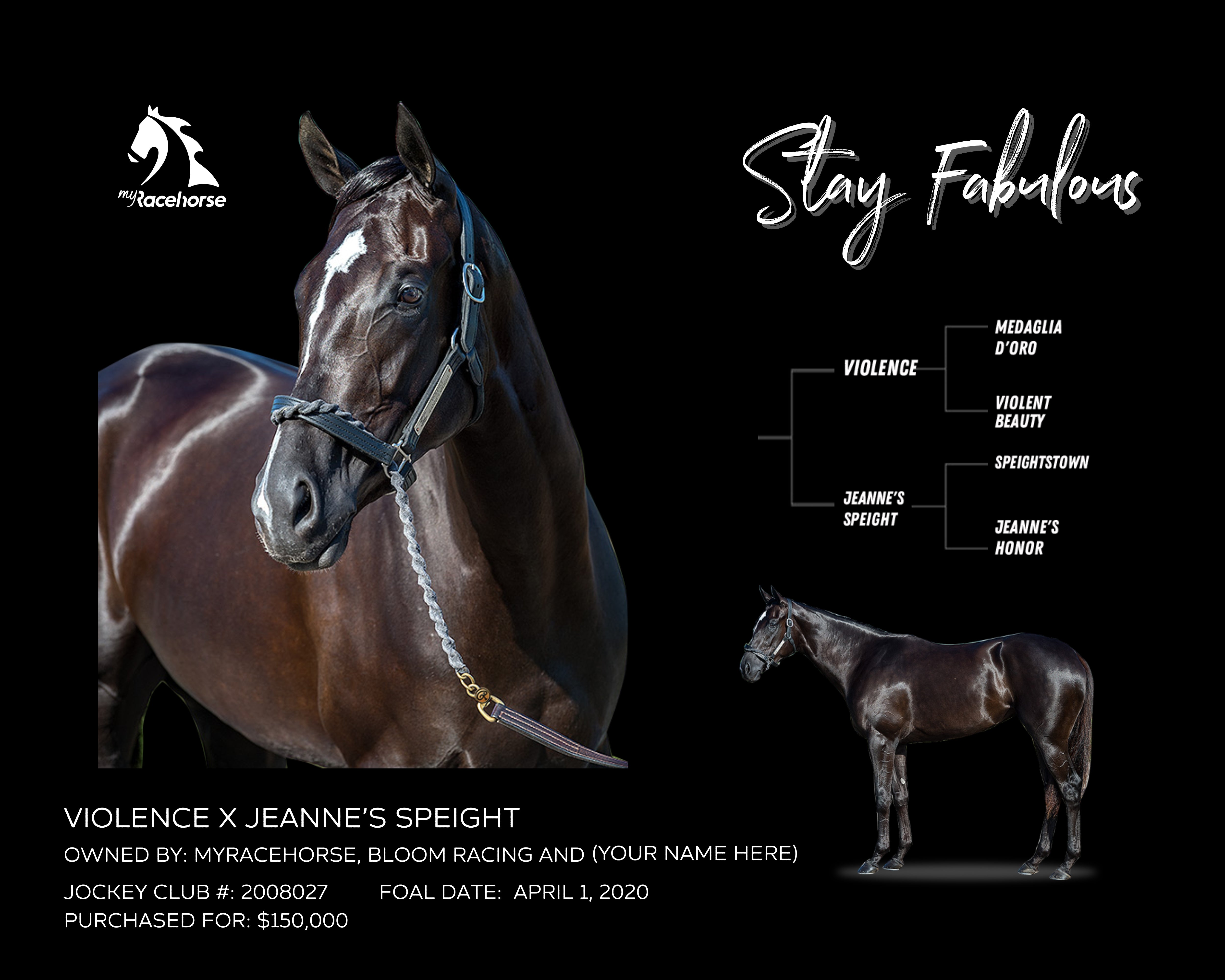 Stay Fabulous Owner Photo – MyRacehorse Shop