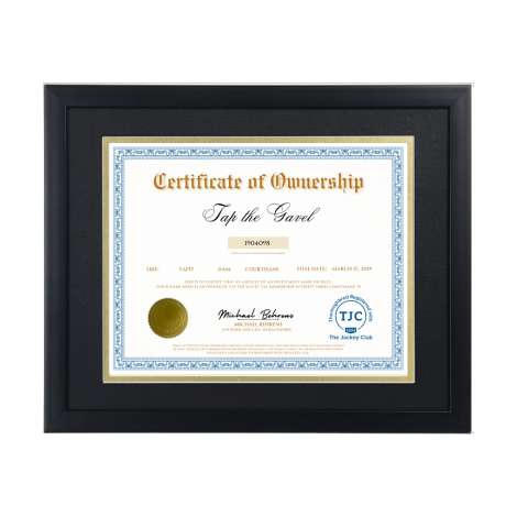 Tap the Gavel Certificate of Ownership – MyRacehorse Shop