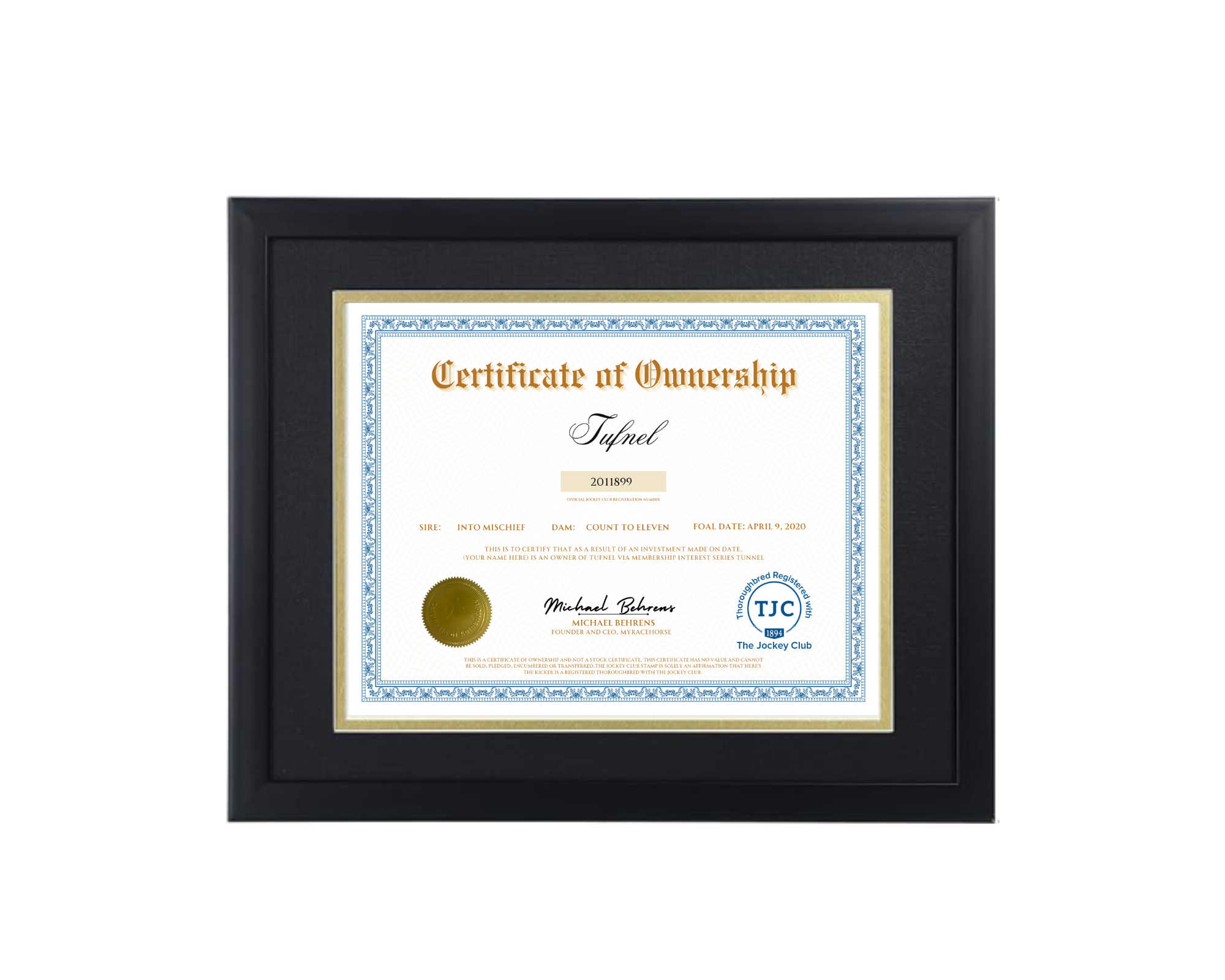 Tufnel Certificate of Ownership – MyRacehorse Shop