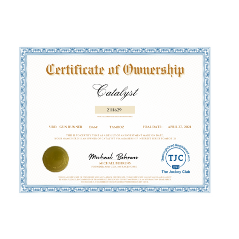 Catalyst Certificate of Ownership – MyRacehorse Shop